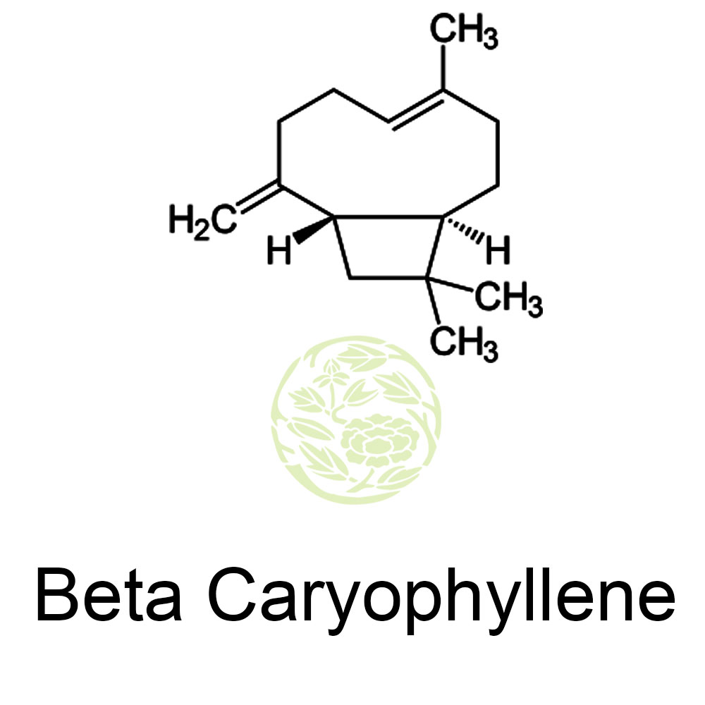 Beta Caryophyllene Beta Caryophyllene
