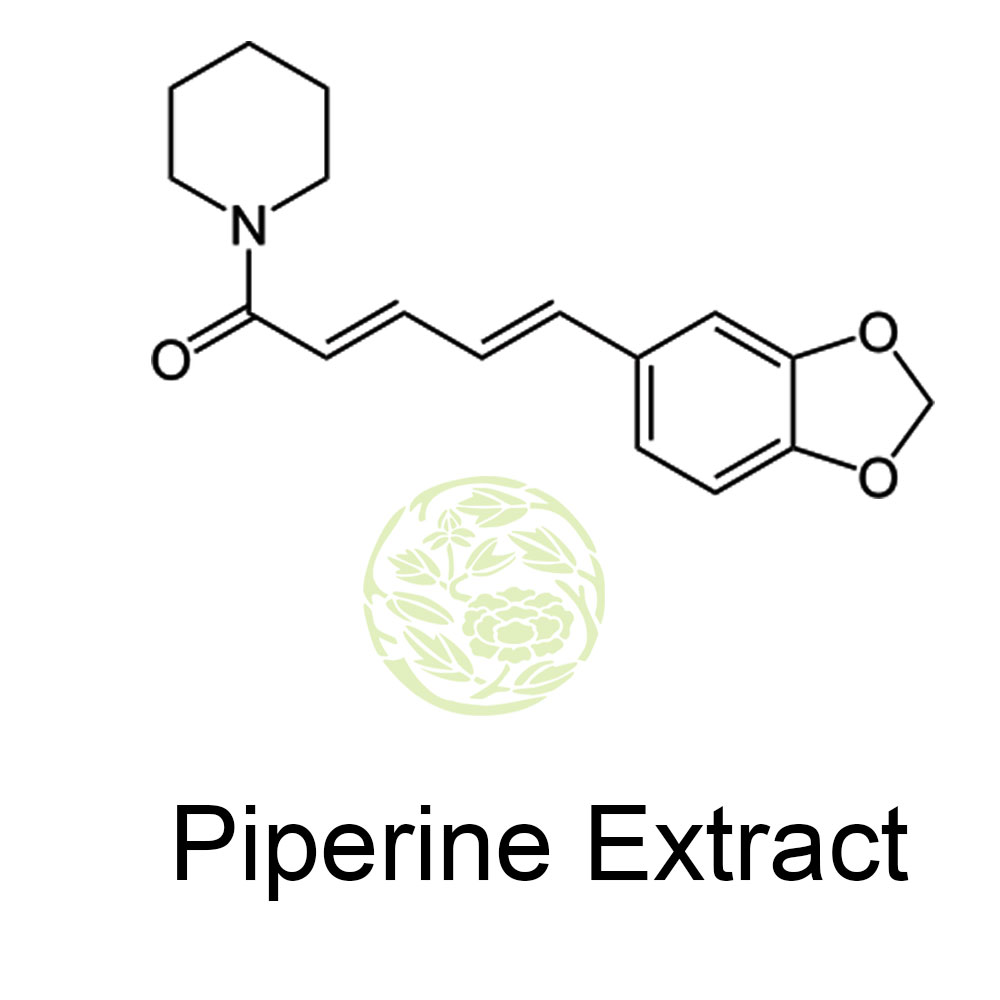 Piperine Extract Piperine 95 Piper Nigrum Black Pepper Benefits