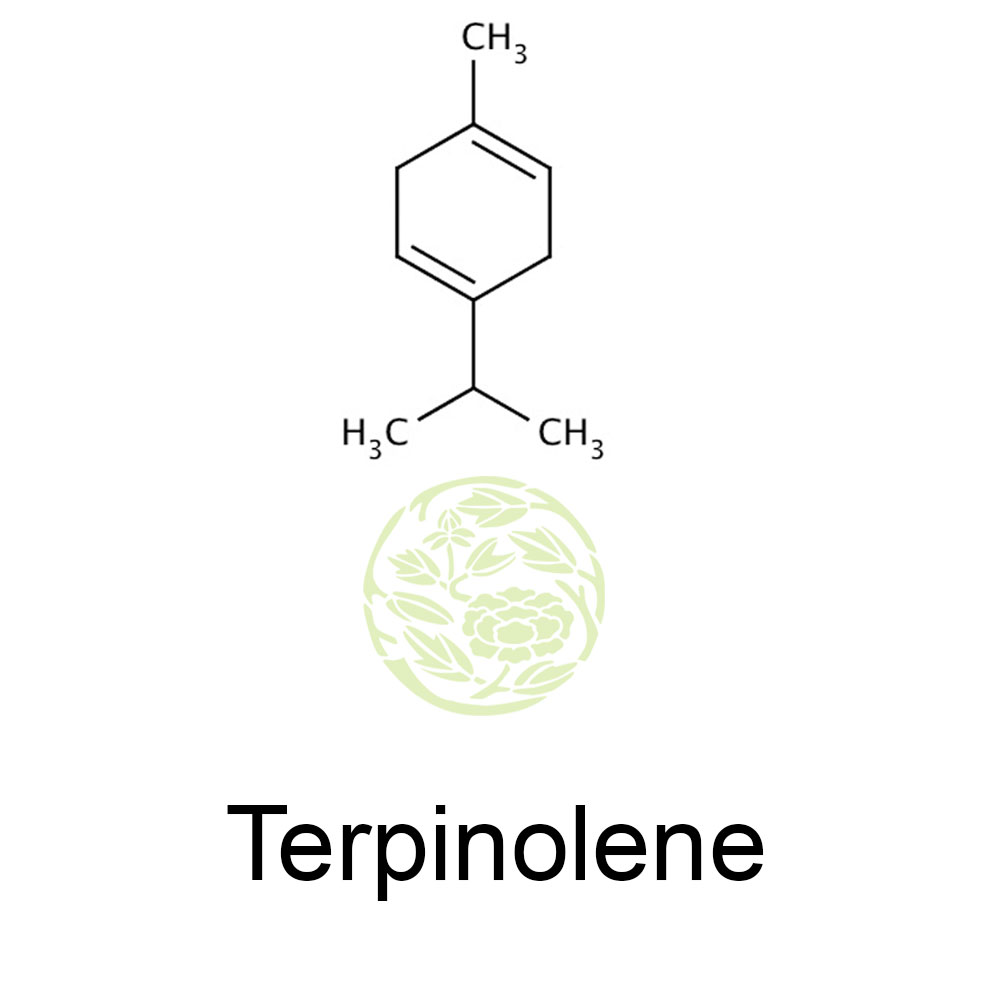 Terpinolene