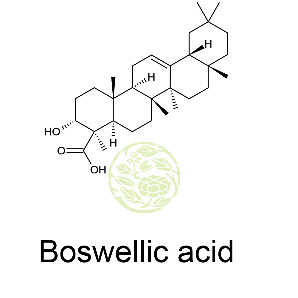 Boswellic acid | Boswellia serrata benefits