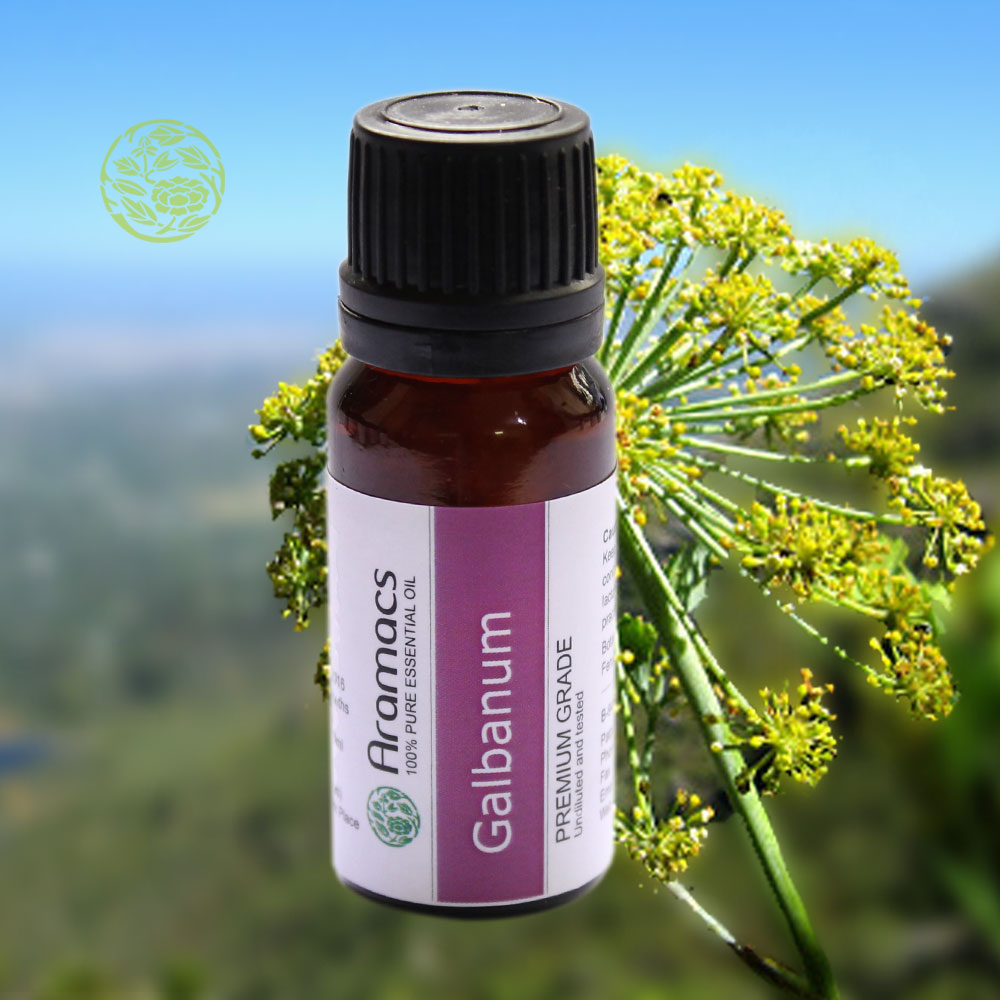 Galbanum oil - Pelargonium Graveolens