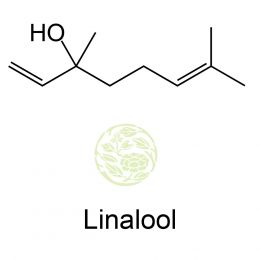 What is Linalool terpene - Linalool benefits and allergy